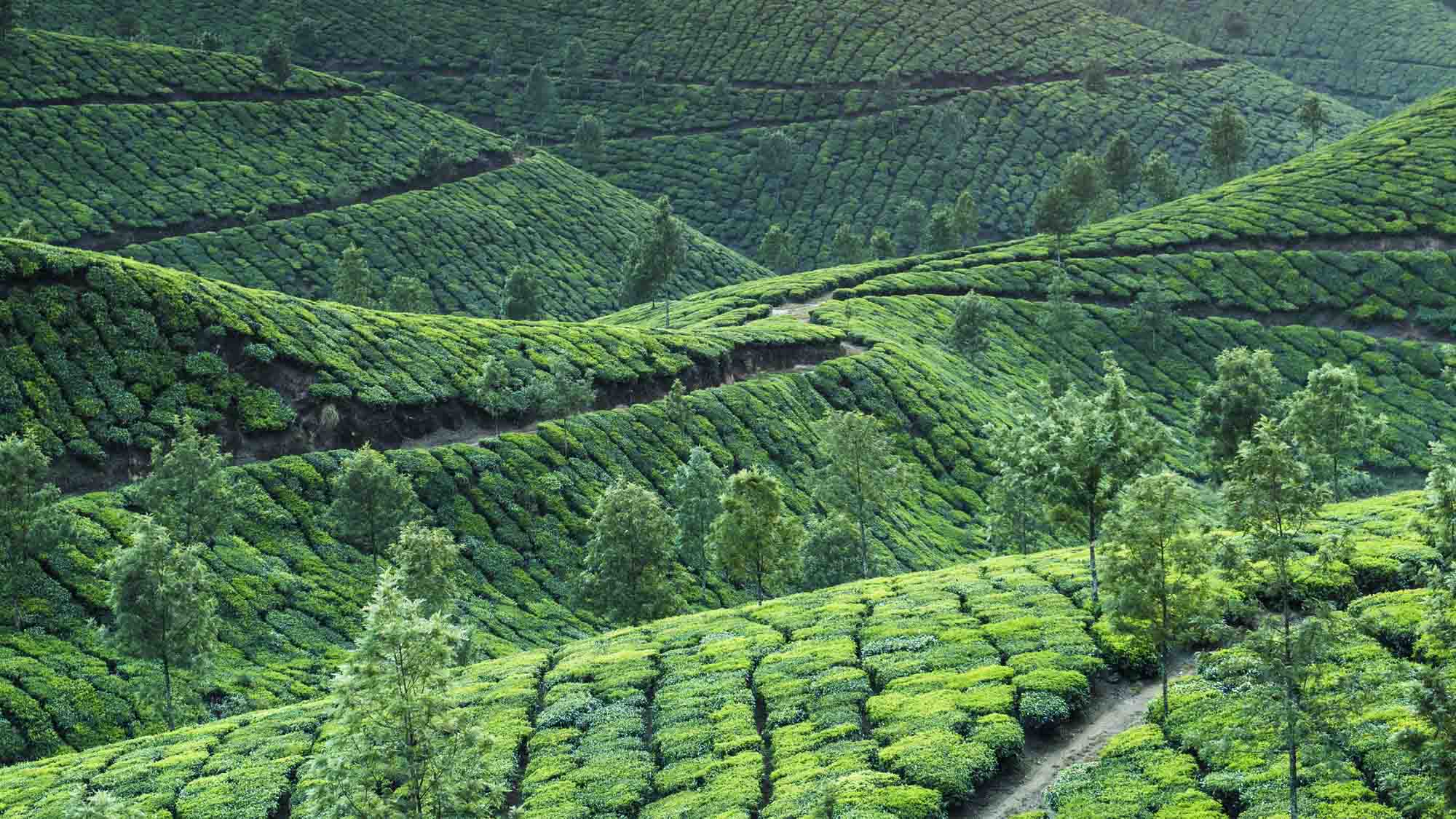 SUEZ in India | Water Management Solutions